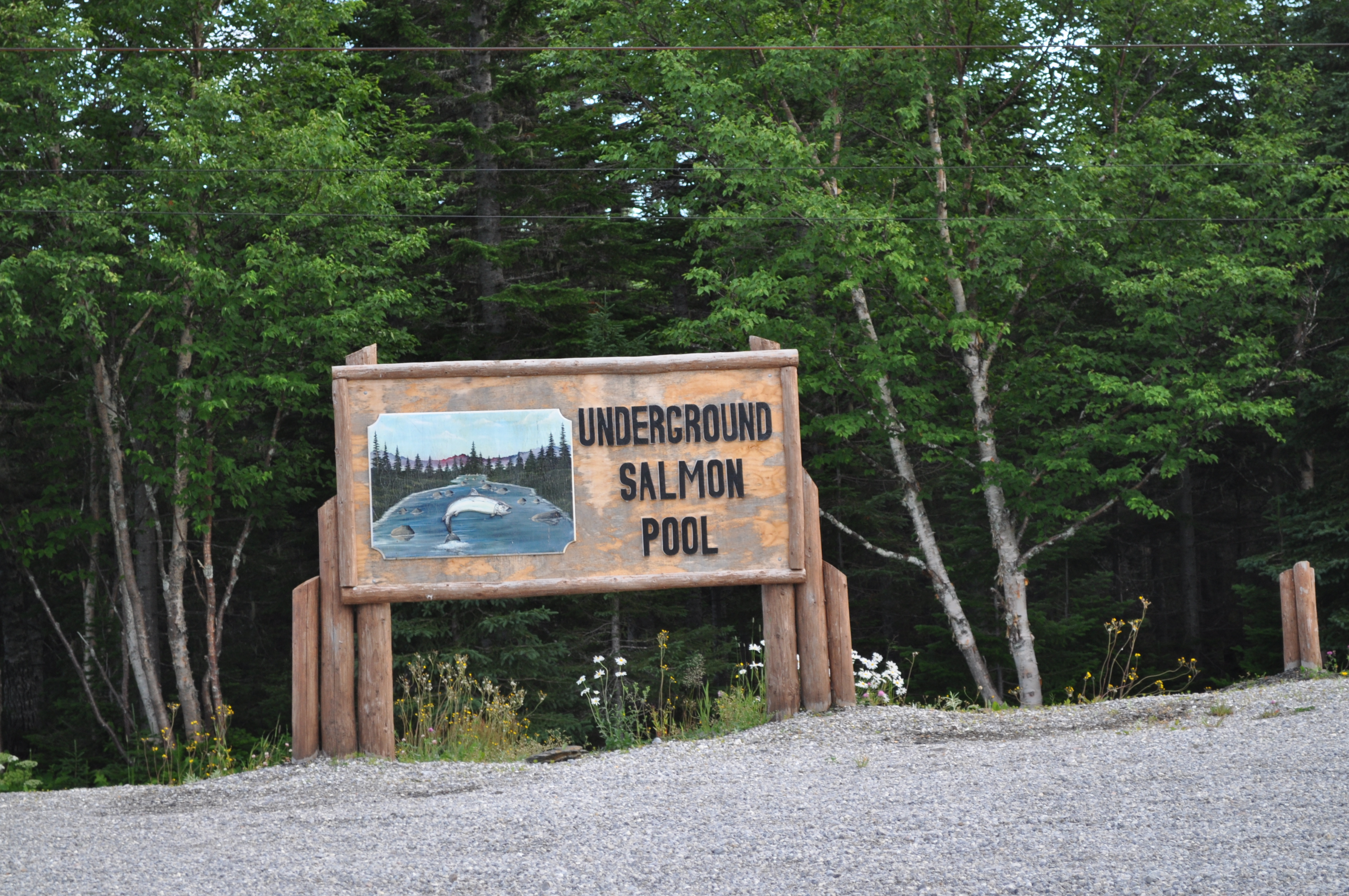 Underground Salmon Pool, Roddickton-Bide Arm, NL – Live Rural ...