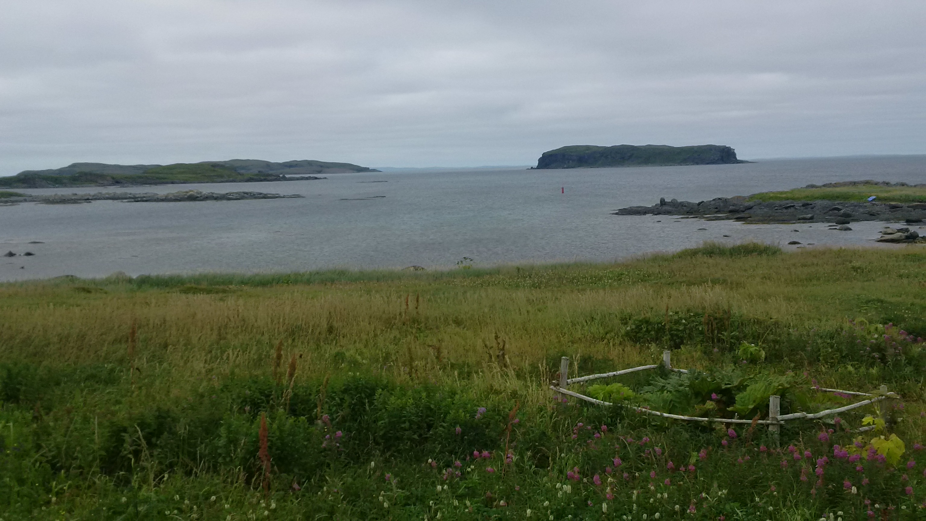 IMG_20140815_150045 – Live Rural Newfoundland & Labrador