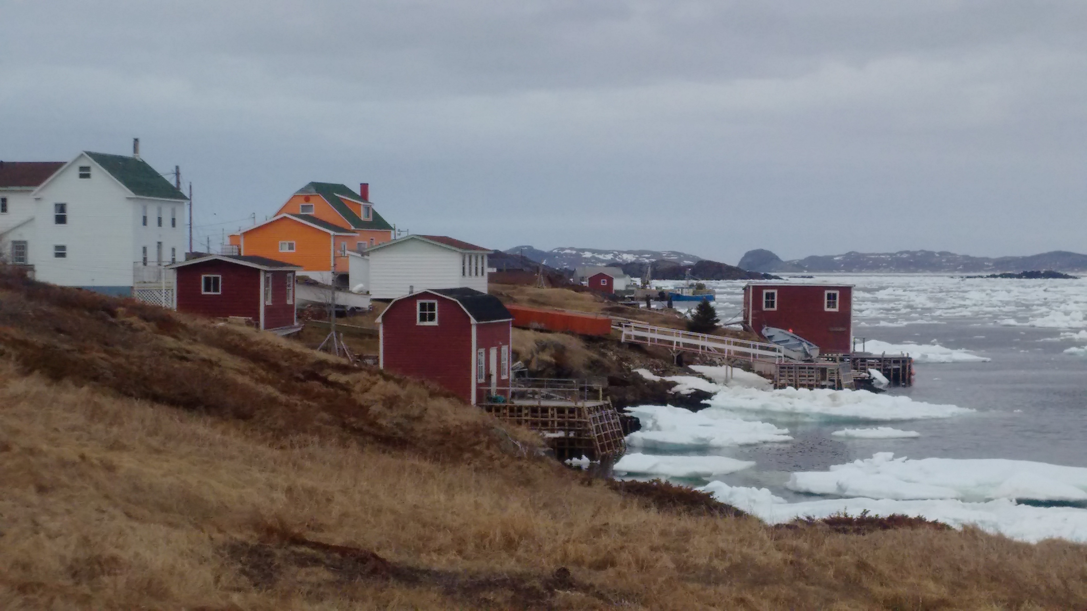 IMG_20150502_154412 – Live Rural Newfoundland & Labrador