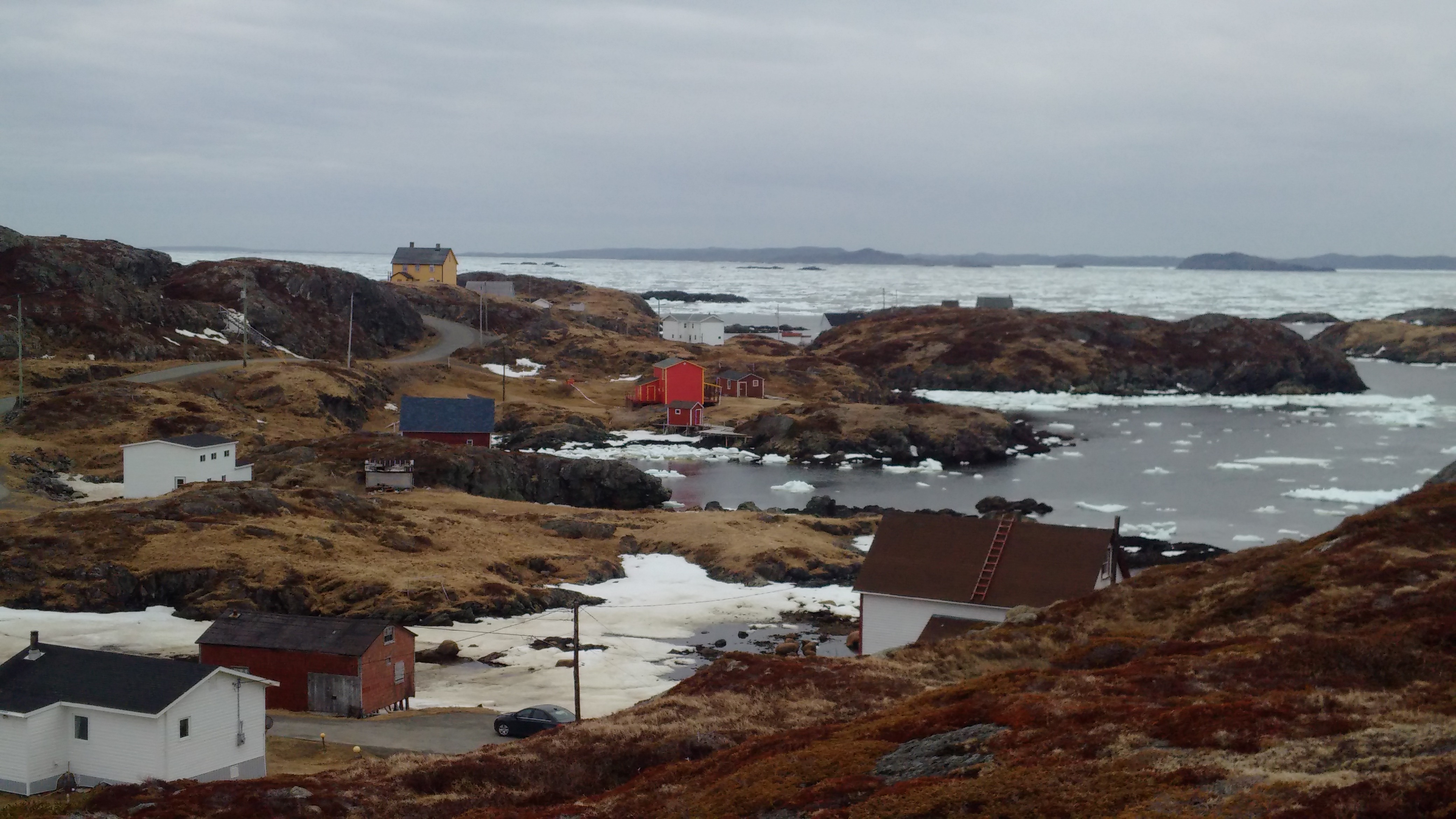 IMG_20150502_171537 – Live Rural Newfoundland & Labrador