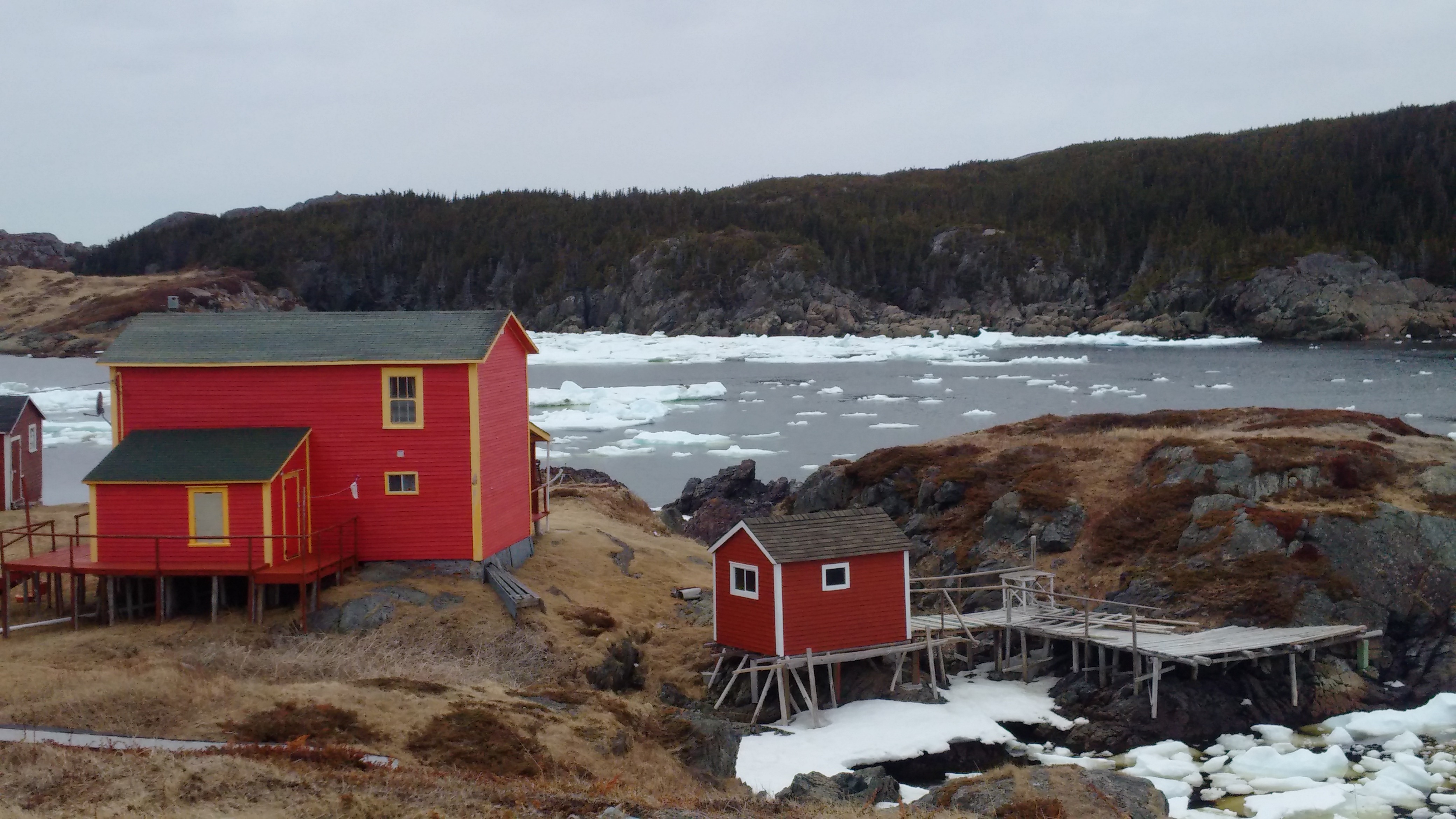 IMG_20150502_175005 – Live Rural Newfoundland & Labrador