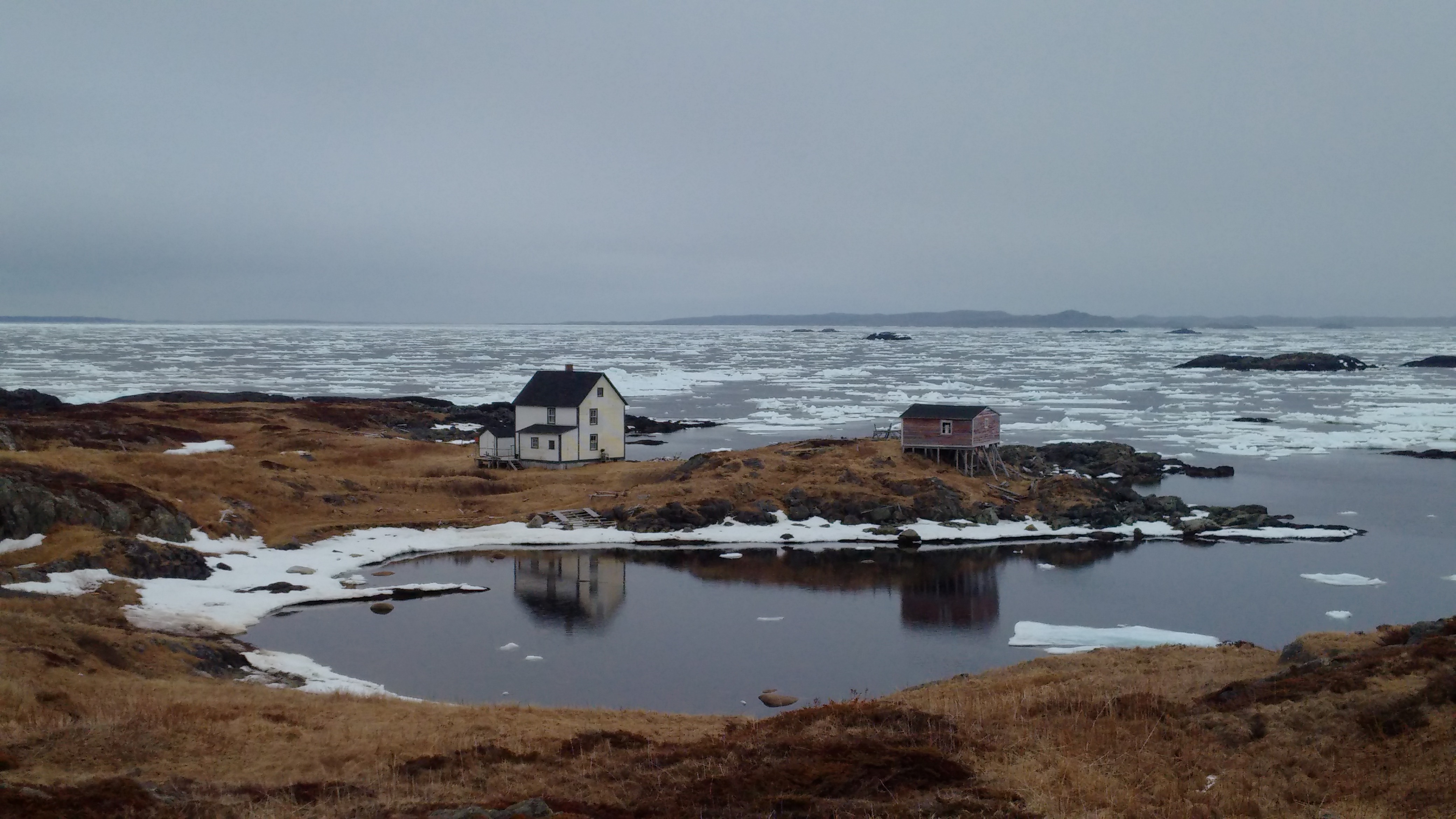 IMG_20150503_084626 – Live Rural Newfoundland & Labrador