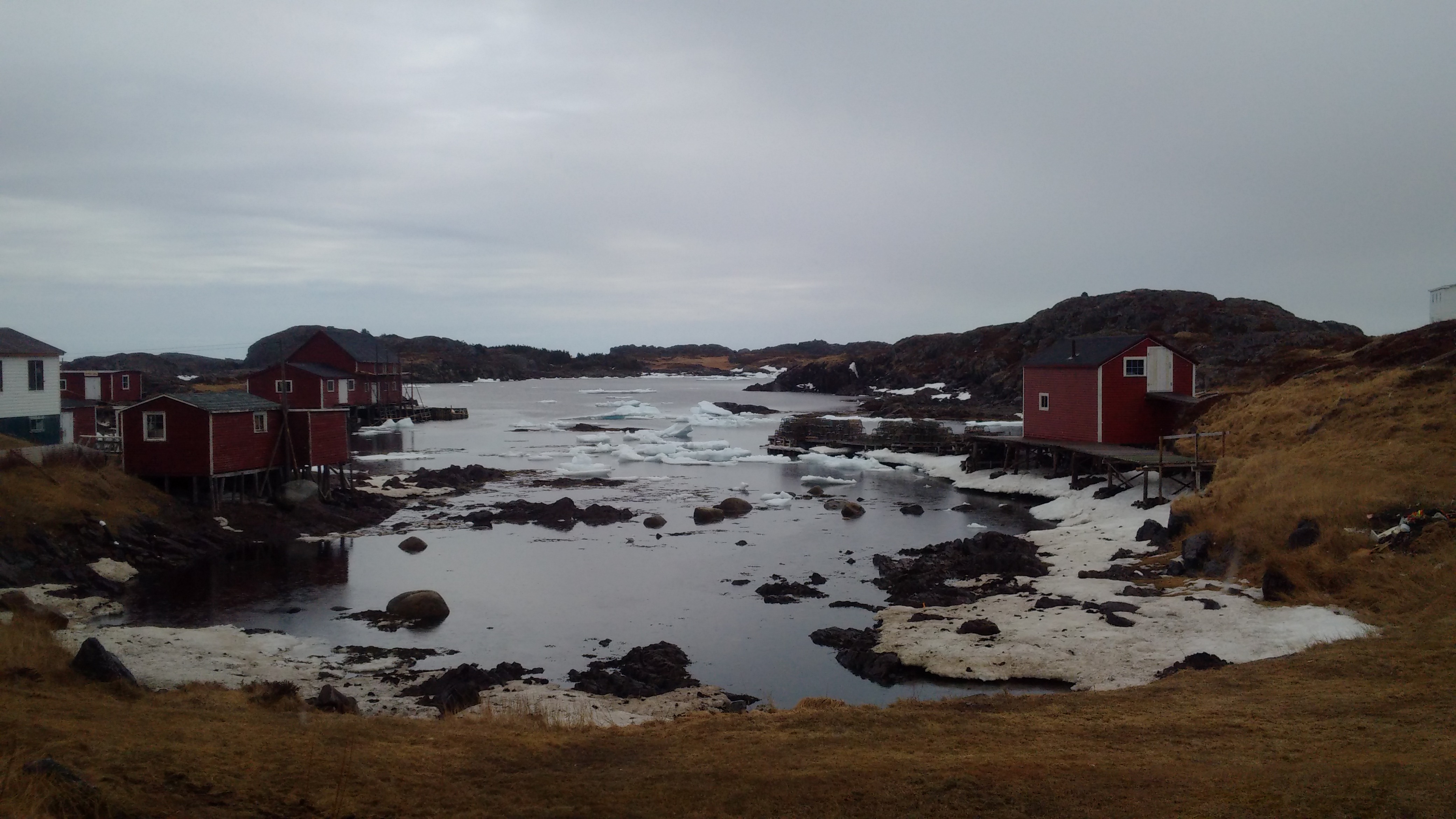 IMG_20150503_092724 – Live Rural Newfoundland & Labrador