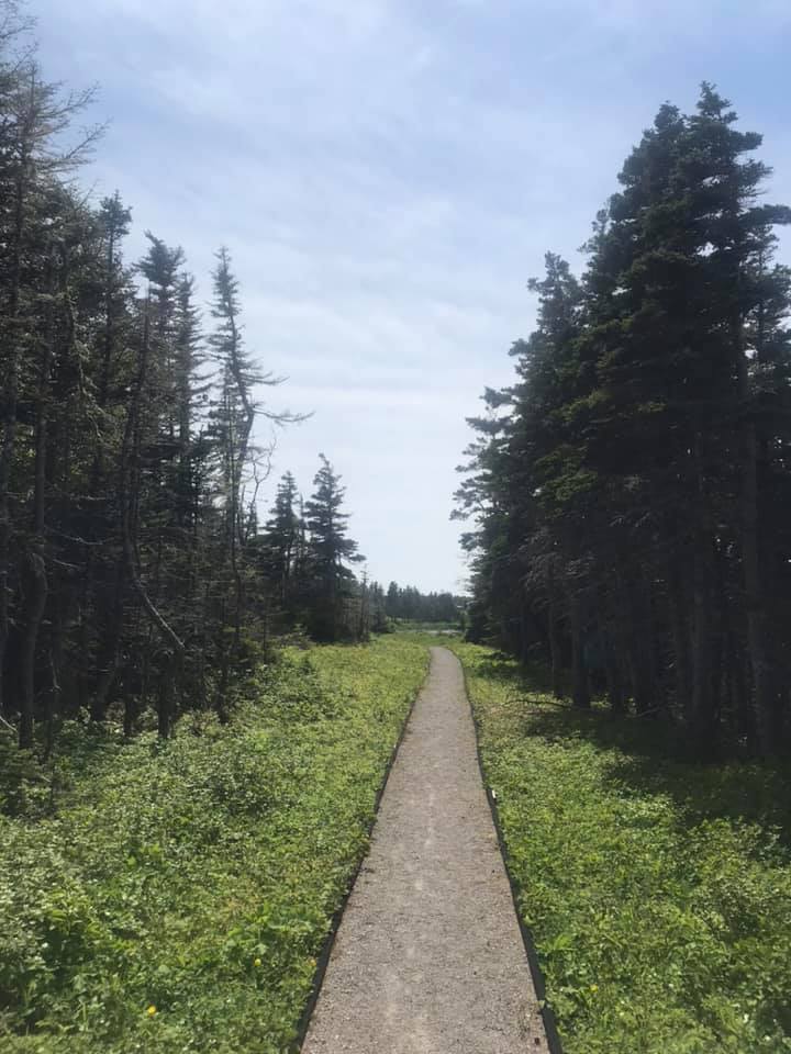 St. Barbe is your Gateway to the Great Northern Peninsula and Labrador ...