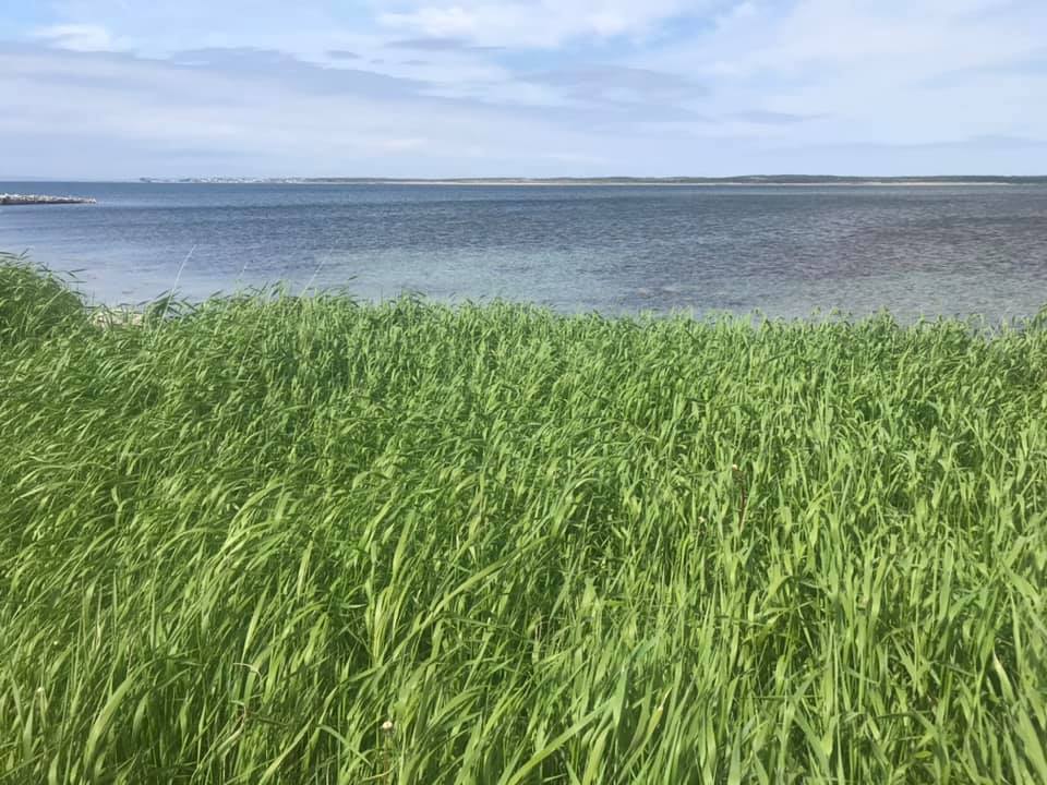 St. Barbe is your Gateway to the Great Northern Peninsula and Labrador ...