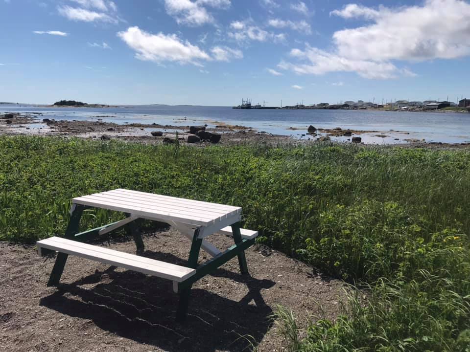 The Wonders of White Point Walking Trail – Live Rural Newfoundland ...