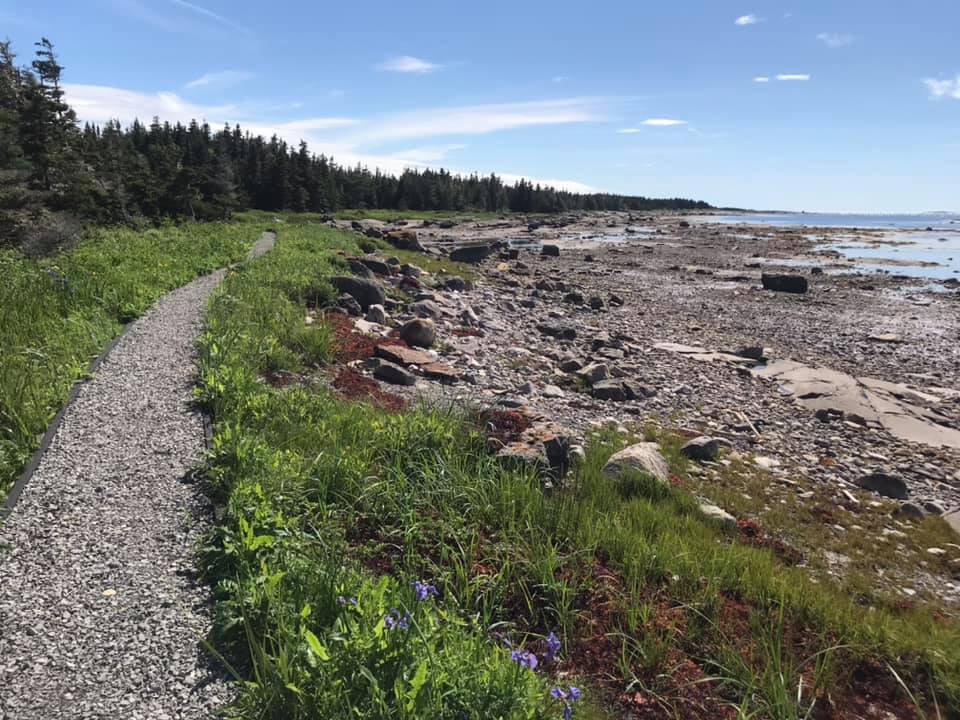 The Wonders of White Point Walking Trail – Live Rural Newfoundland ...
