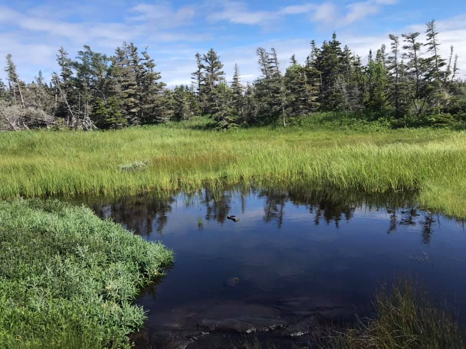 The Wonders of White Point Walking Trail – Live Rural Newfoundland ...