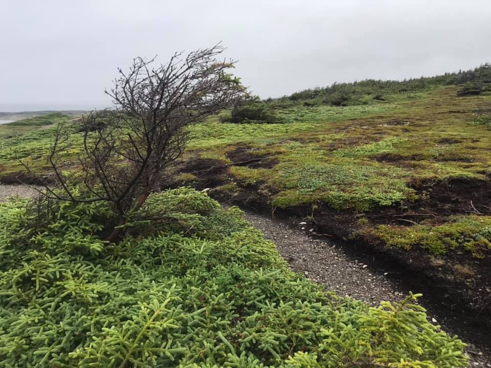 109017574_10158431210844259_2985289247120698101_n – Live Rural ...