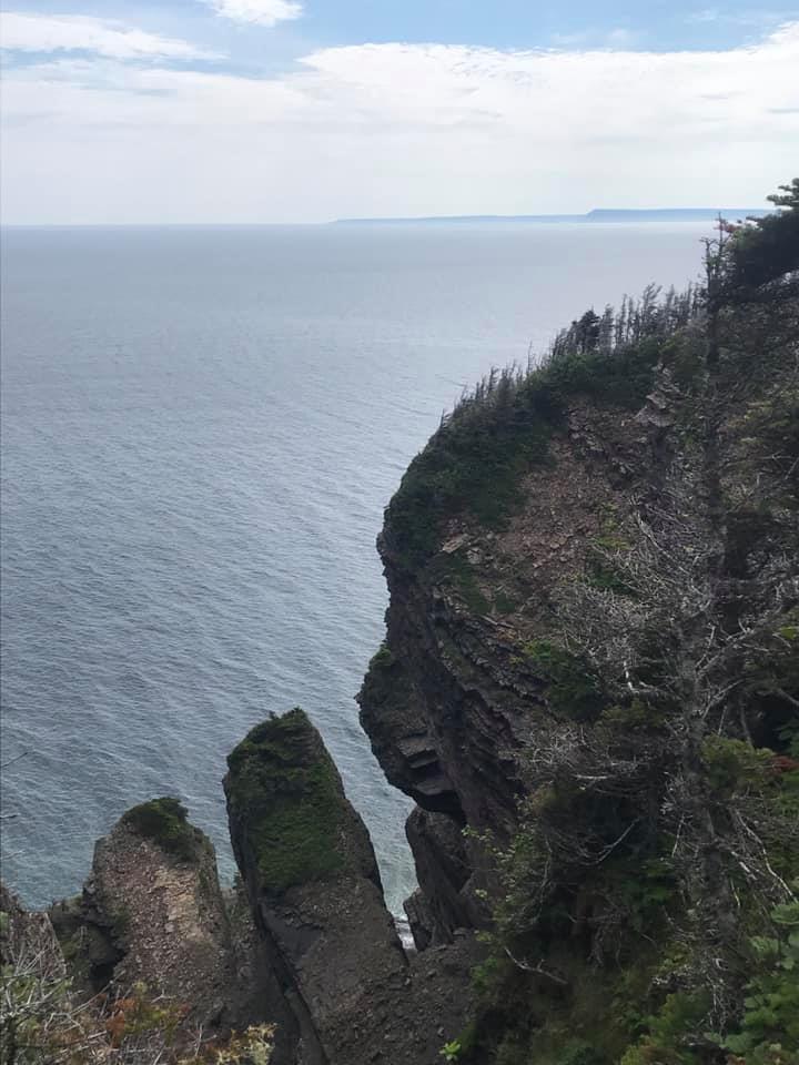 116288321_10158491194784259_247238993755239223_n – Live Rural ...