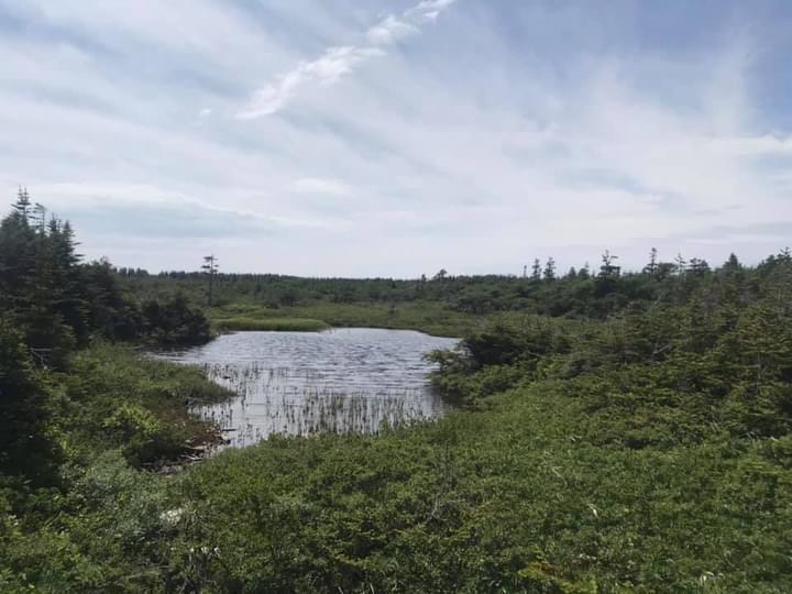 img_5368 – Live Rural Newfoundland & Labrador